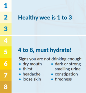 Hydration information leaflet - Wirral Community Health and Care NHS ...