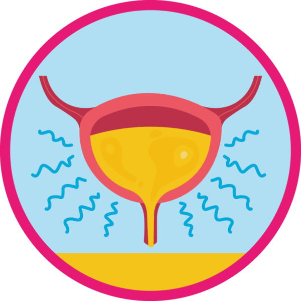 Stress incontinence - Wirral Community Health and Care NHS Foundation Trust