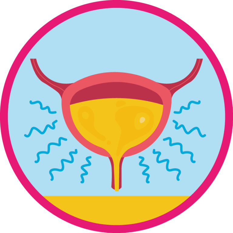 Stress incontinence - Wirral Community Health and Care NHS Foundation Trust